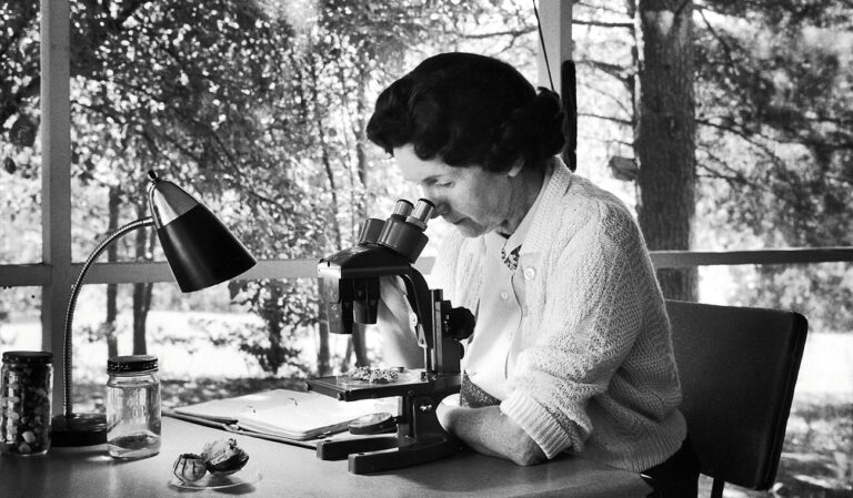 Primavera Silenciosa: Há 62 anos foi publicado o livro de Rachel Carson ...